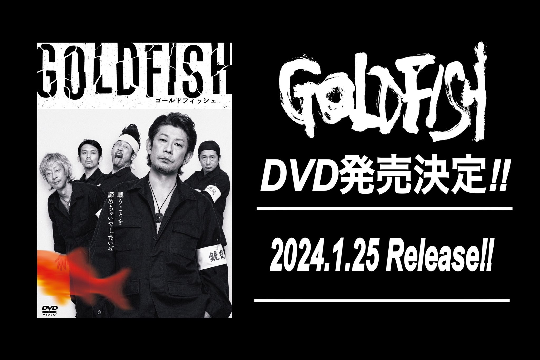 2024.01.25 映画『GOLDFISH』DVDリリース決定！ – WENDY OFFICIAL SITE